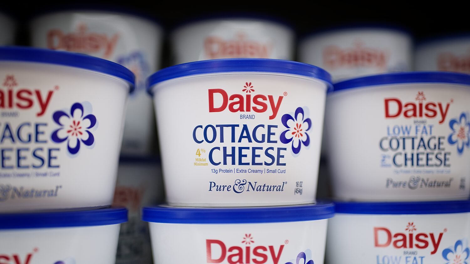 Recipes - Daisy Brand - Sour Cream & Cottage Cheese
